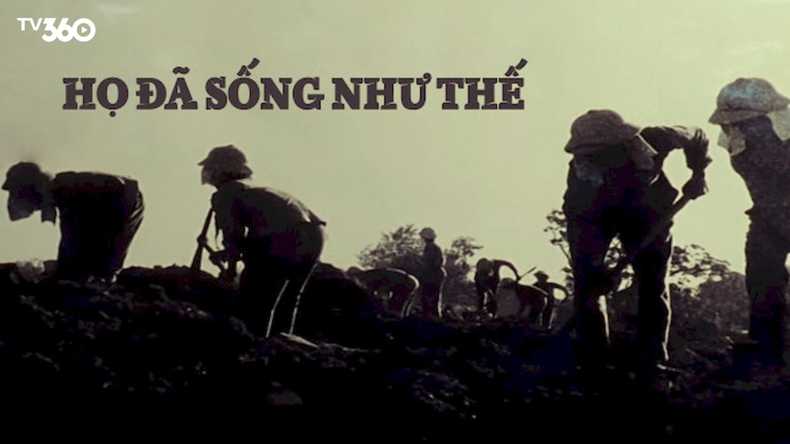 Phim tài liệu là gì? Gợi ý top 13 phim tài liệu Việt Nam