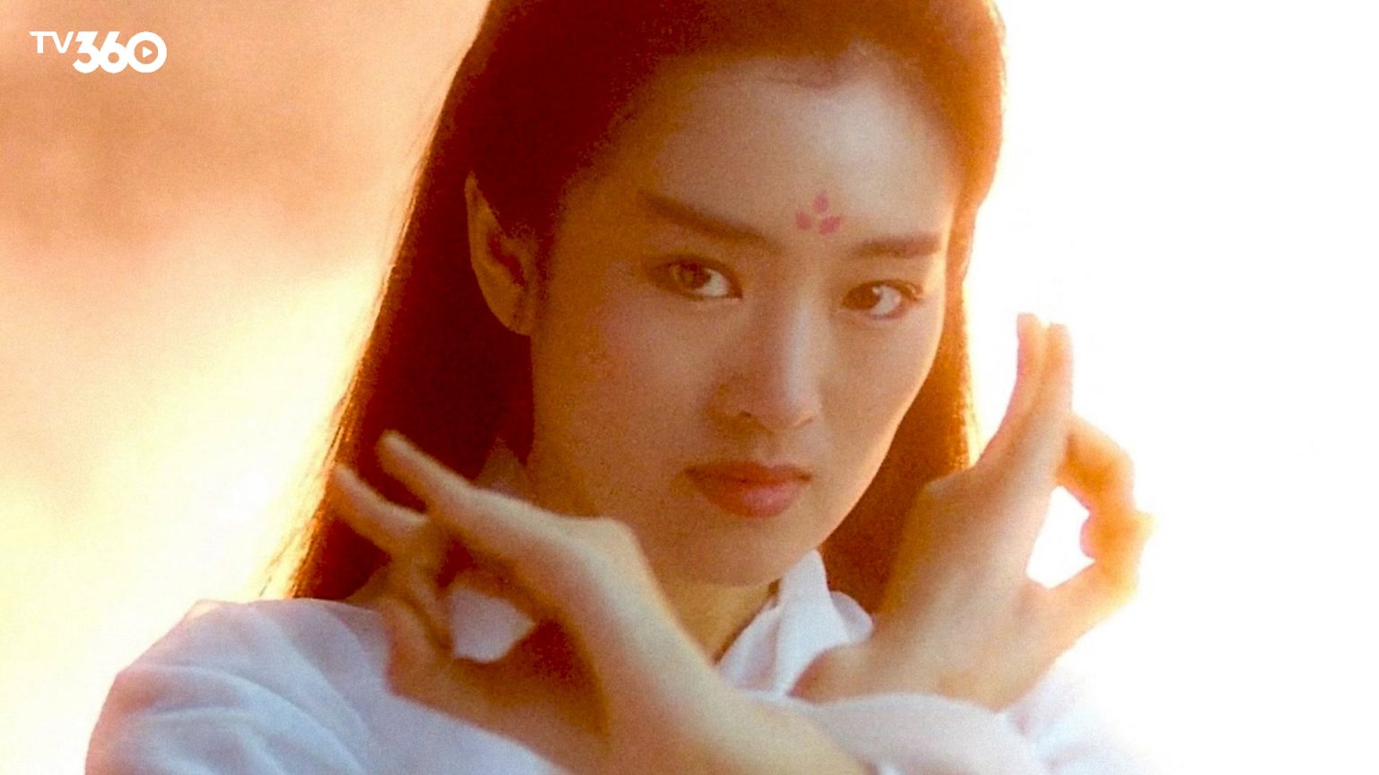 Top 9 phim võ thuật Hong Kong phim lẻ hay nhất trên TV360