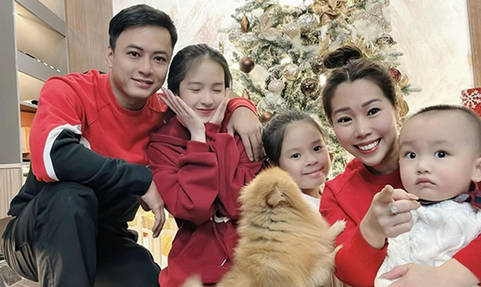 Hồng Đăng là ai? Tiểu sử & loạt phim giờ vàng làm nên tên tuổi